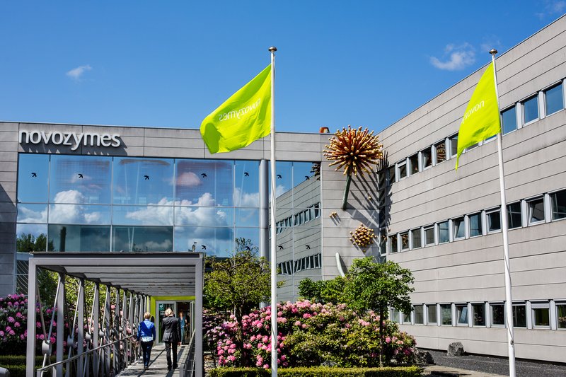 Novozymes delivers historically strong full-year results | Novonesis