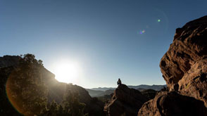 Novozymes acquires data science platform of Biota to strengthen ...