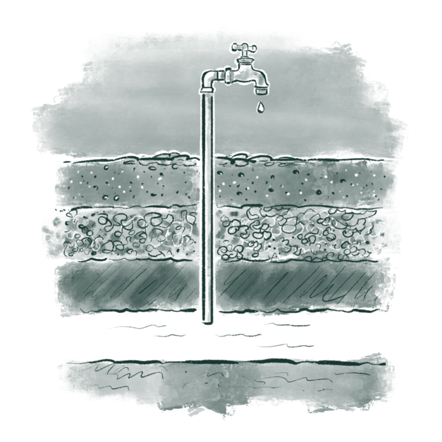 The Biosolutions Bulletin: Harnessing Microbes for Healthier Soil ...