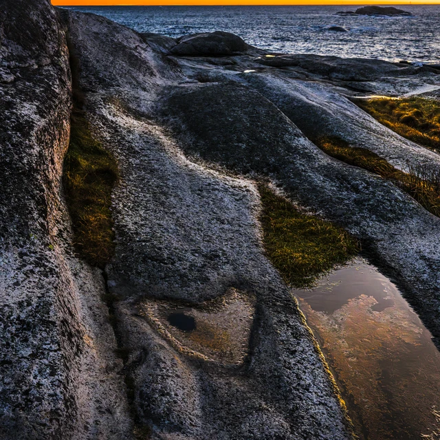 Enzymatic Accelerated Rock Weathering Solutions | Novonesis