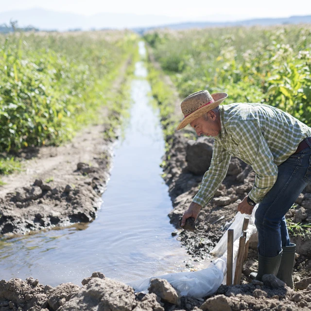 Enzymatic Accelerated Rock Weathering Solutions | Novonesis