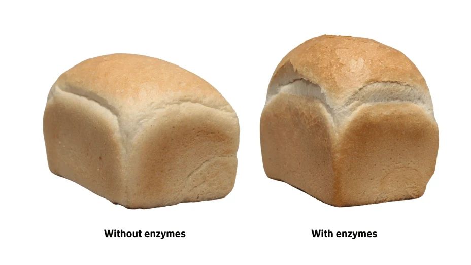 Safe handling with our baking mix | Novonesis