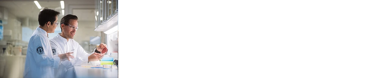 Our media relations team and latest news | Novonesis