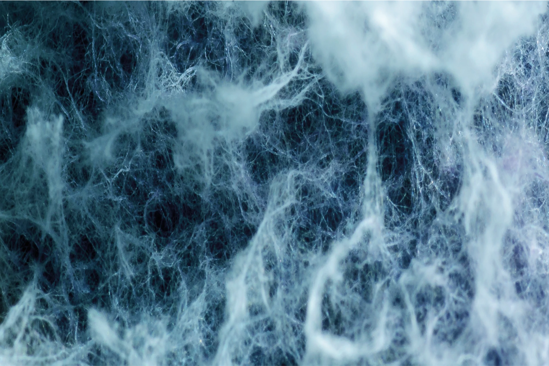 Novonesis | Want probiotics with documented health benefits?